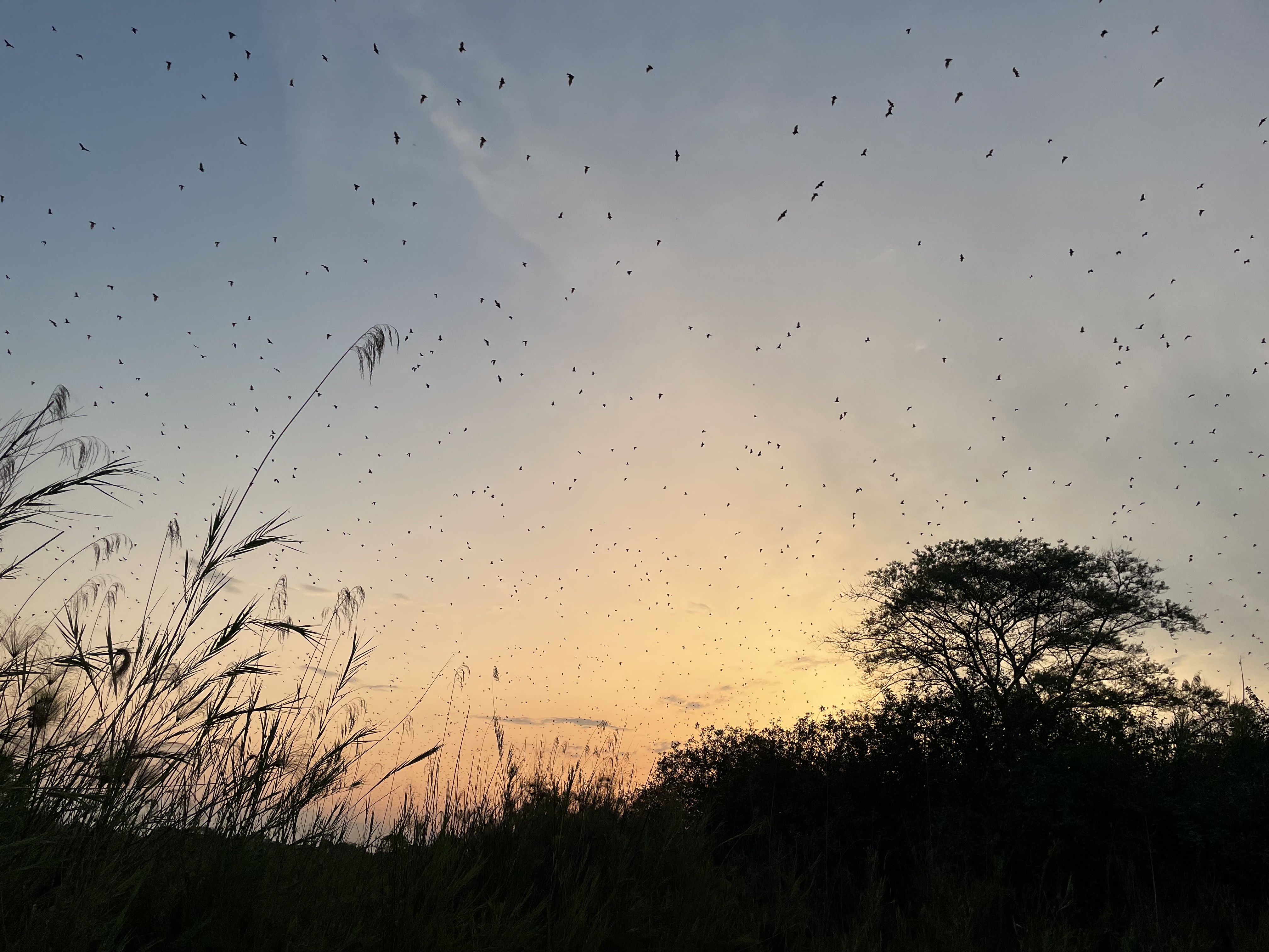 Conservation, Community, & Sustainability – Worms Gone Wild